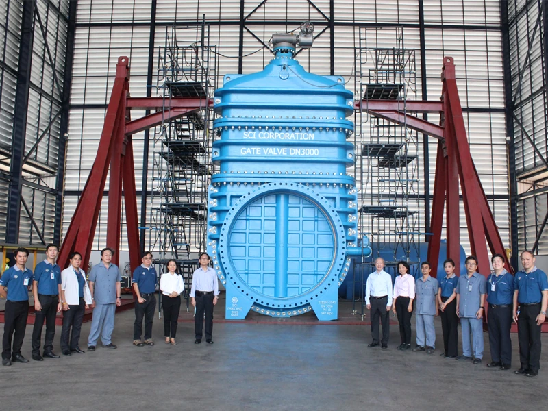 The Governor of MWA and executive team visited and joined gate valve ...