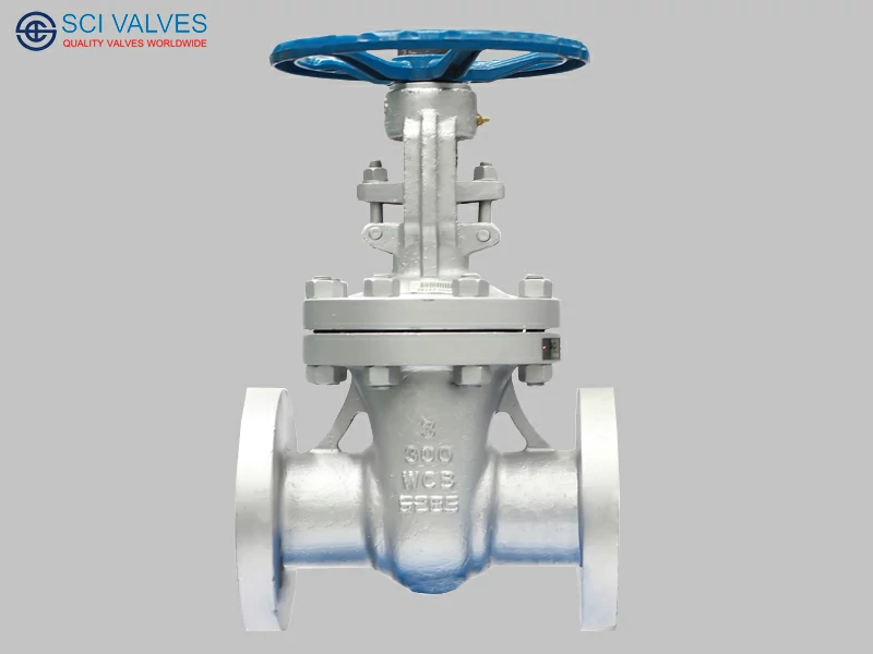 SCI Cast Steel Gate Valve